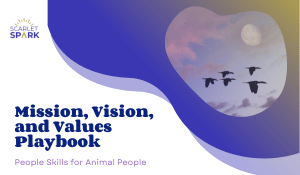 Mission, Vision, and Values Playbook | Scarlet Spark