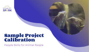 Set clear project expectations with the Project Calibration Guide